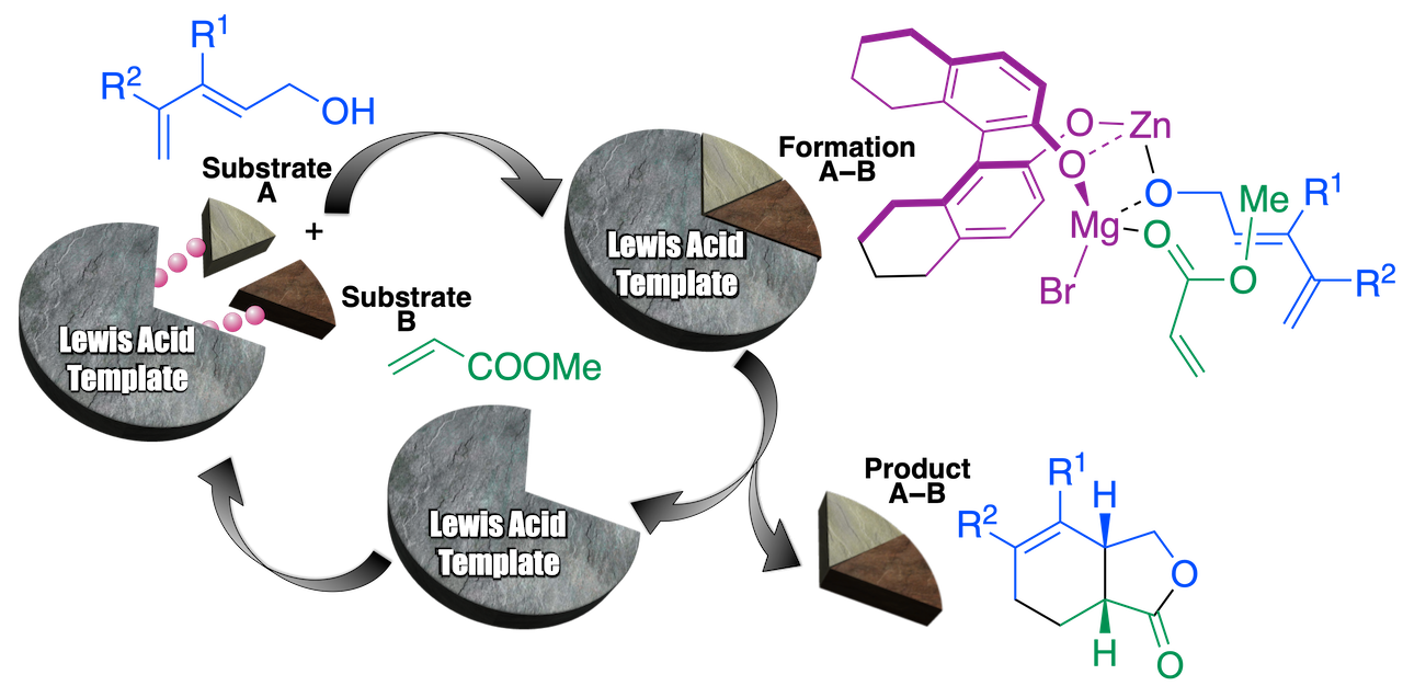 =TOP= of seizou-HP(2014)